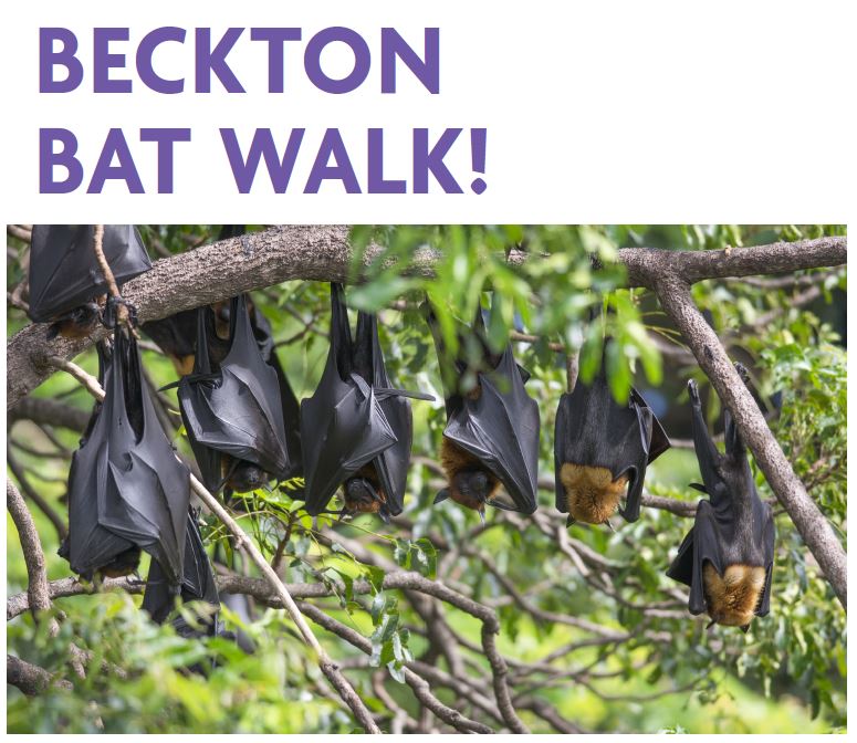 Beckton Parks – Newham Council